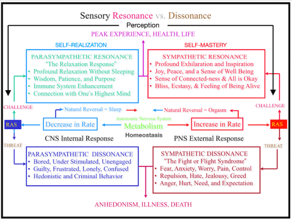 Sensory Resonance Results in Multisensory Integration | InnerSense-Inc.