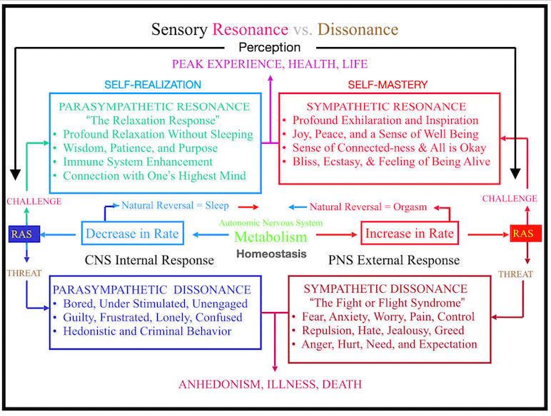 Sensory Resonance Results in Multisensory Integration | InnerSense-Inc.