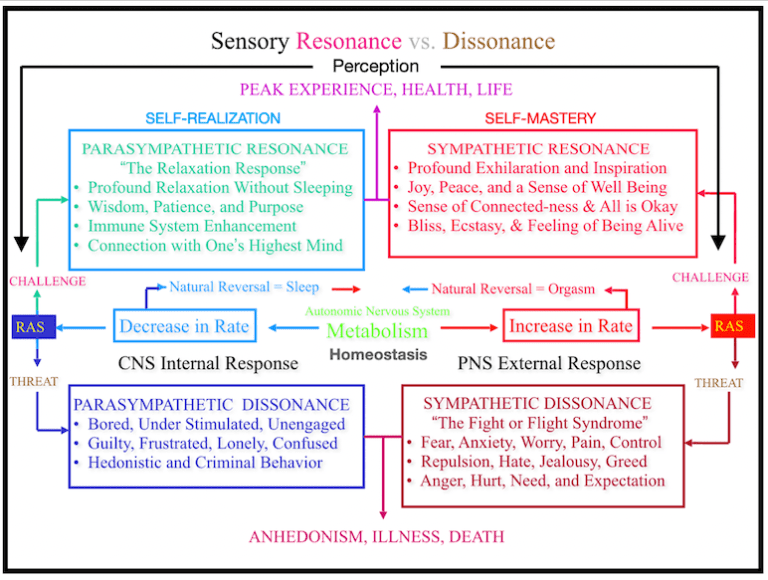 Dream Science…Explore The Essence of InnerSpace | InnerSense-Inc.